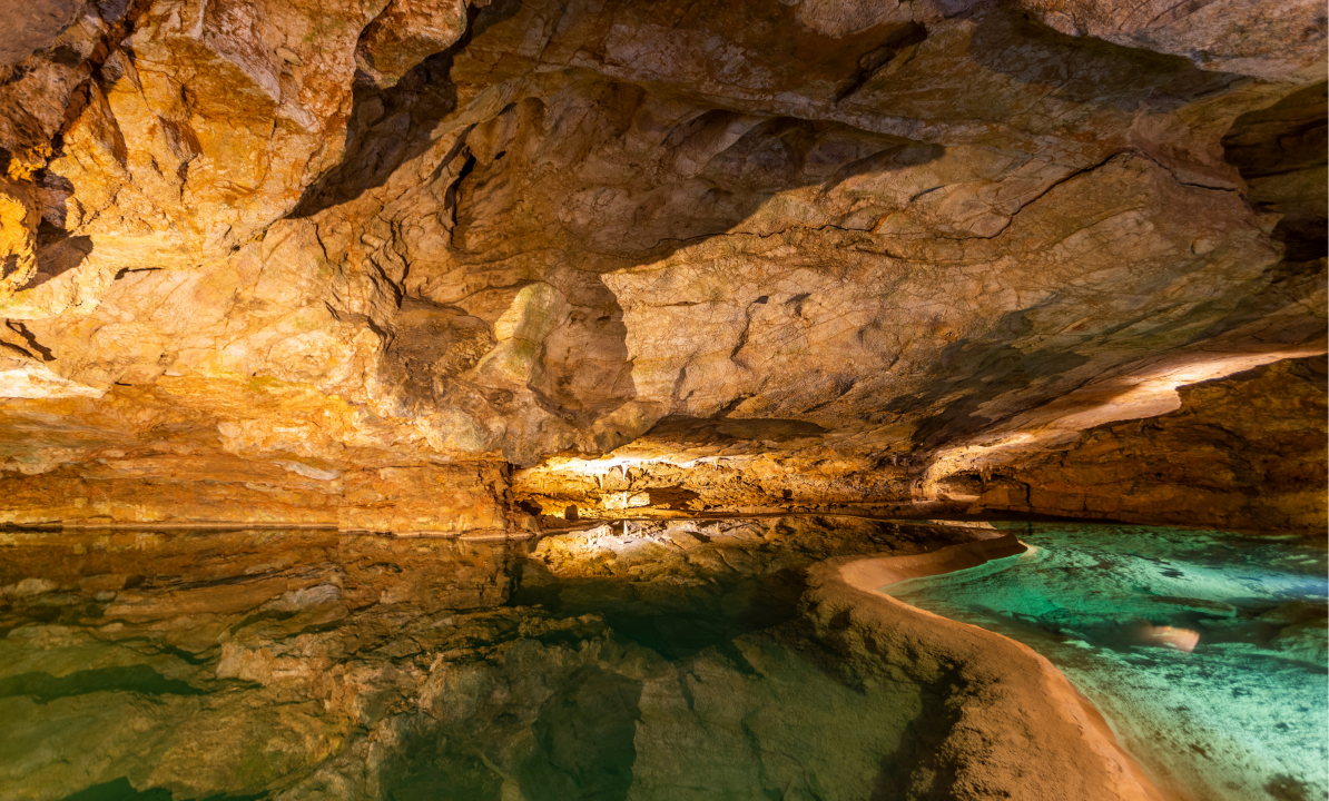 Le Séquoia campsite – Mobile home and holiday rentals